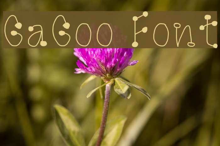 GaGoo Font - FFonts.net