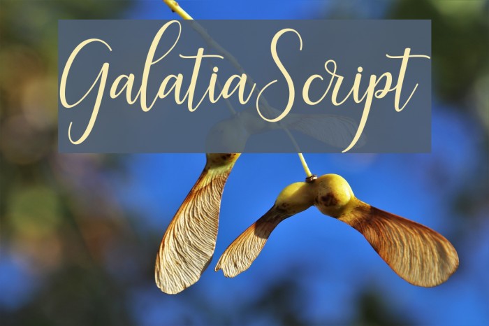 GalatiaScript Font - FFonts.net
