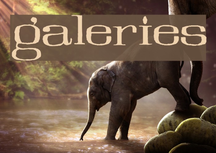 Galeries Font - FFonts.net