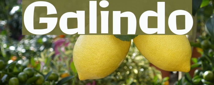 Galindo Font - FFonts.net