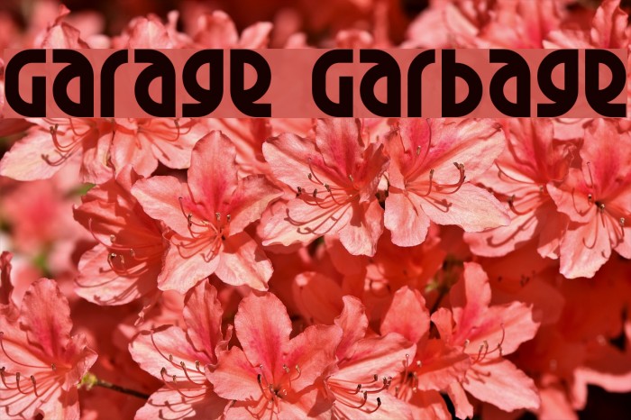 Garage Garbage Font - FFonts.net