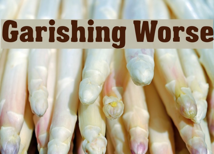 Garishing Worse Font - FFonts.net