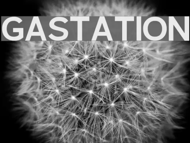 Gastation Font | Details & Characters — FFonts.net