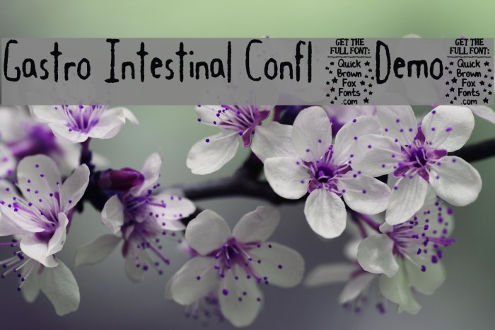 Gastro Intestinal Confl [Demo] Font - FFonts.net