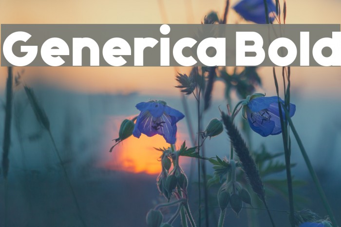 Generica Bold Font - FFonts.net