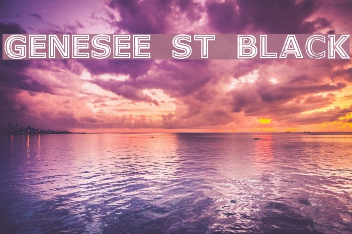 Genesee St Black Font - FFonts.net