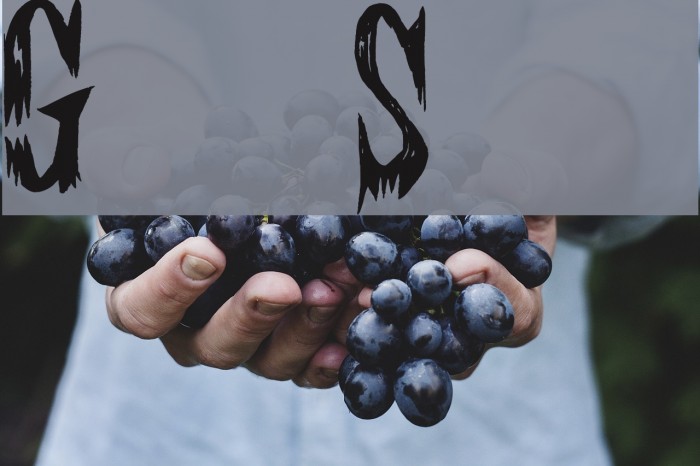 Ghost Shadow Font - FFonts.net