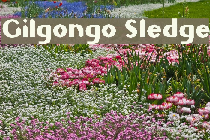 Gilgongo Sledge Font - FFonts.net