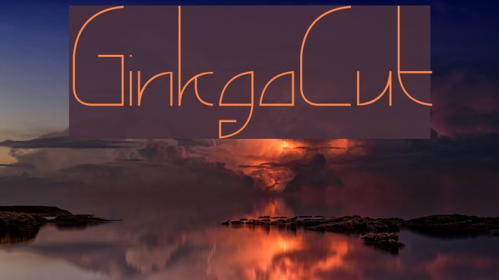 GinkgoCut Font - FFonts.net