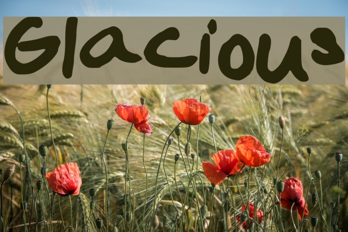 Glacious Font - FFonts.net
