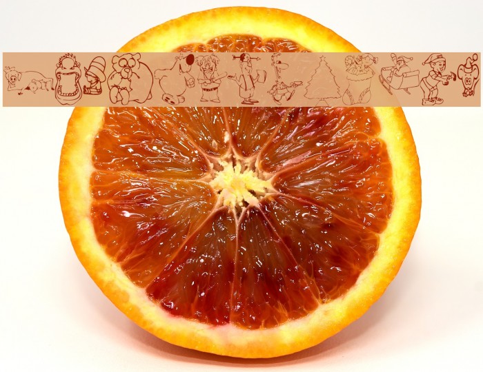 GlyphDigest Font - FFonts.net