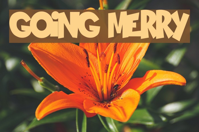 GOING MERRY Font - FFonts.net