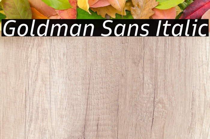 Goldman Sans Italic Font - FFonts.net