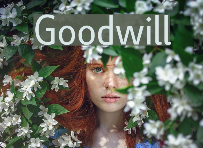 Goodwill Font - FFonts.net