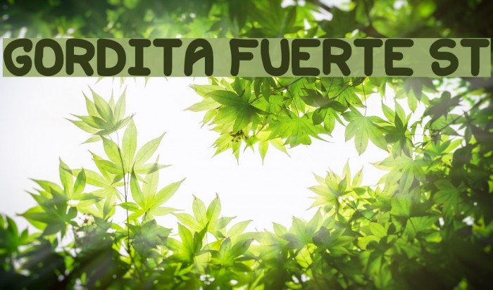 Gordita Fuerte St Font - FFonts.net