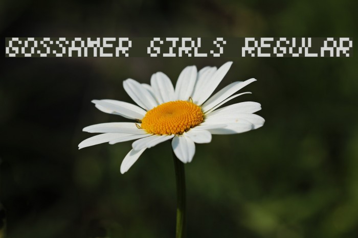 Gossamer Girls Regular Font - FFonts.net