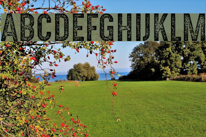 Gotcha Gothic Stamp Font - FFonts.net