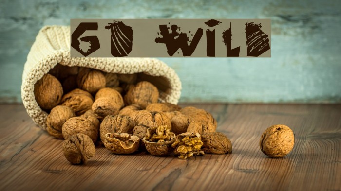 go wild Font - FFonts.net