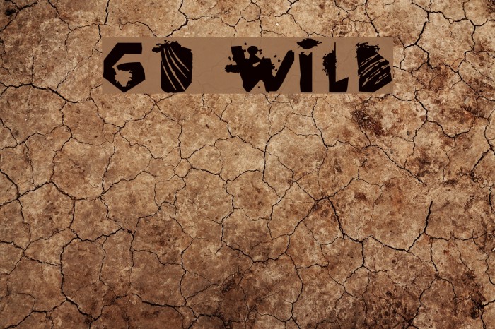 go wild Font - FFonts.net