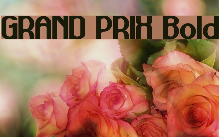 GRAND PRIX Bold Font - FFonts.net