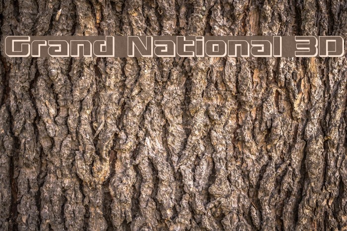 Grand National 3D Font - FFonts.net