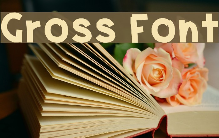 Gross Font - FFonts.net