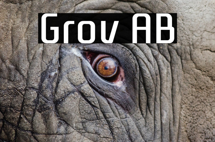 Grov AB Font - FFonts.net