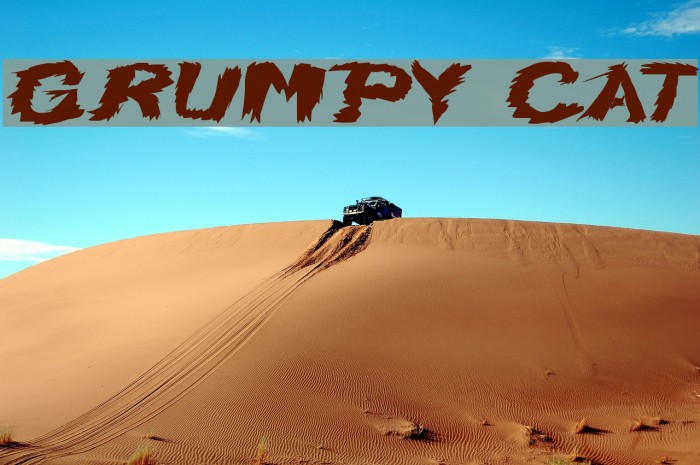 Grumpy Cat Font - FFonts.net