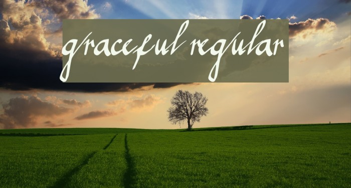 graceful regular Font - FFonts.net