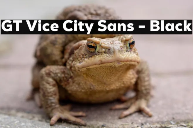 GT Vice City Sans - Black Font | Free Download (TTF/OTF) | F