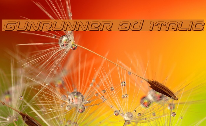 Gunrunner 3D Italic Font - FFonts.net