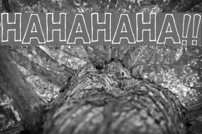 HAHAHAHA!! Font | Free Download (TTF/OTF) | FFonts.net