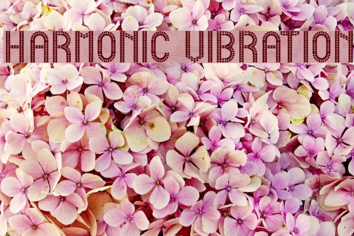 HARMONIC VIBRATION Font - FFonts.net