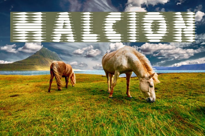Halcion Font - FFonts.net