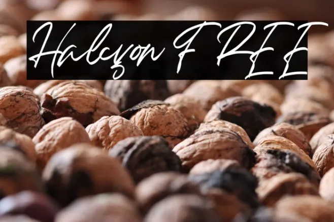 Halcyon FREE Font | Free Download (TTF/OTF) | FFonts.net