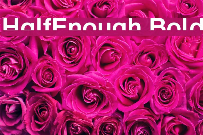 HalfEnough Bold Font - FFonts.net