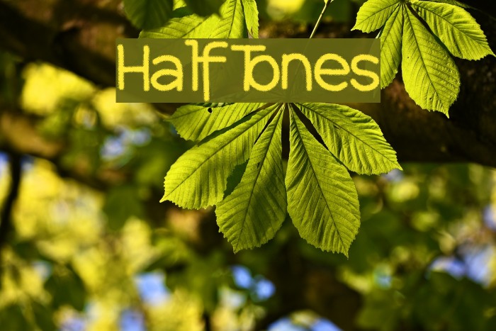 HalfTones Font - FFonts.net