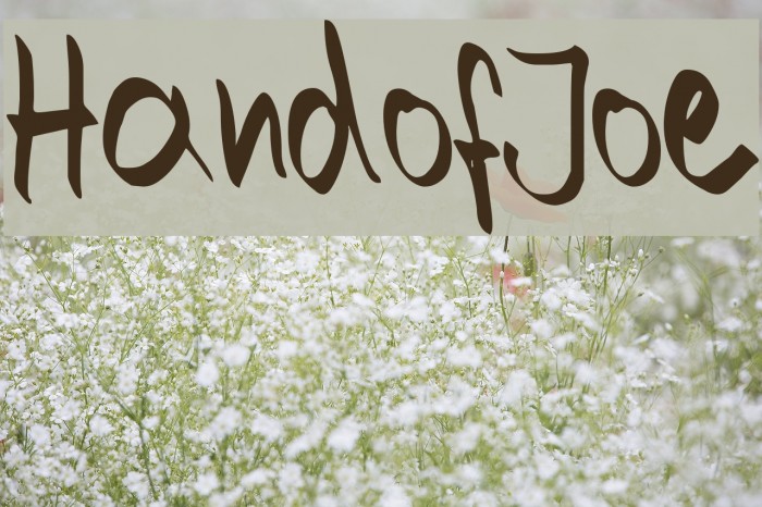 Hand of Joe Font - FFonts.net