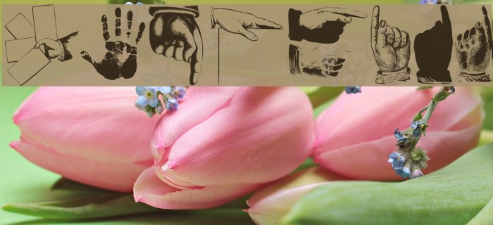 HandsUp Font - FFonts.net