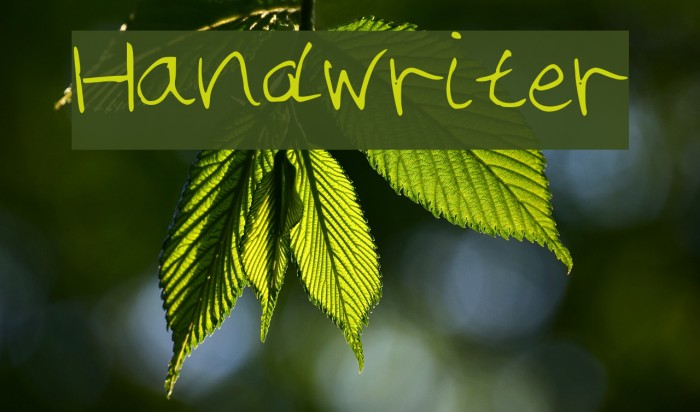 Handwriter Font - FFonts.net