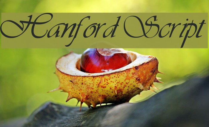 Hanford Script Font - FFonts.net