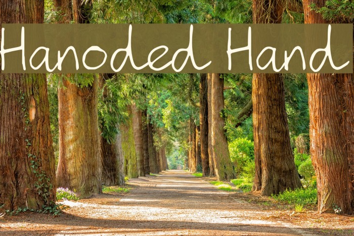 Hanoded Hand Font - FFonts.net