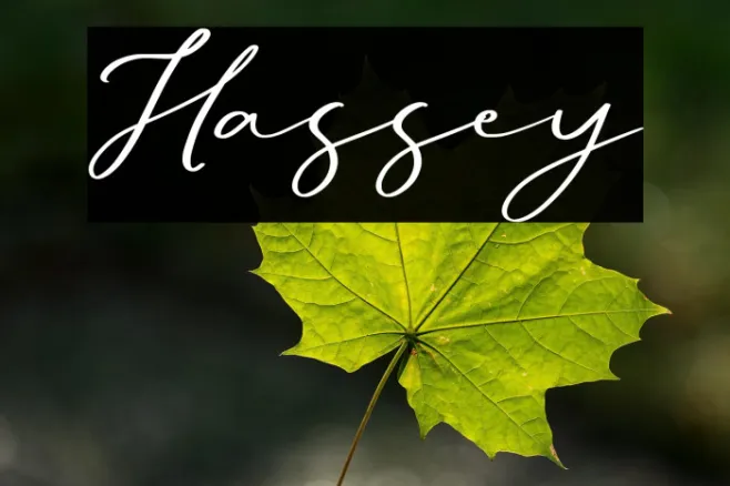 Hassey Font | Free Download (TTF/OTF) | FFonts.net