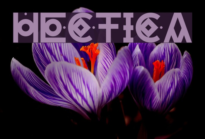HECTICA Font - FFonts.net