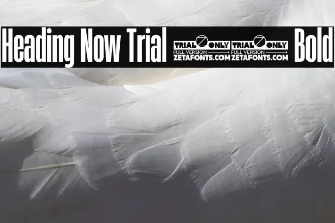 Heading Now Trial 26 Bold Font | Free Download (TTF/OTF) | FFonts.net