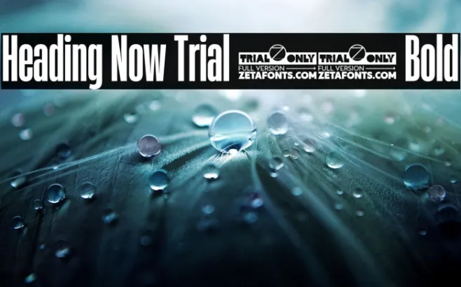 Heading Now Trial 26 Bold Font | Free Download (TTF/OTF) | FFonts.net