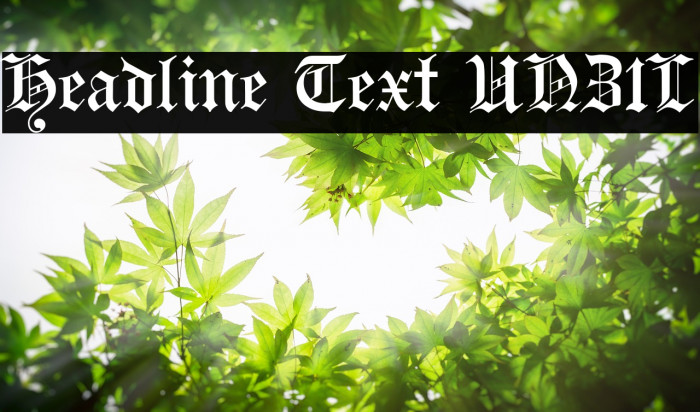 Headline Text UNZ1L Font - FFonts.net