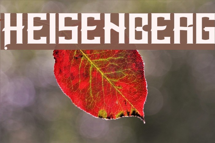 Heisenberg Font - FFonts.net