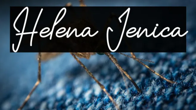 Helena Jenica Font | Free Download (TTF/OTF) | FFonts.net
