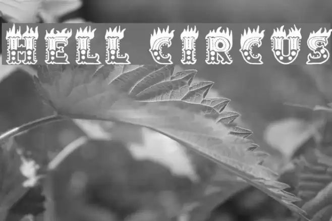 Hell Circus Font - Free Download (TTF/OTF) | FFonts.net